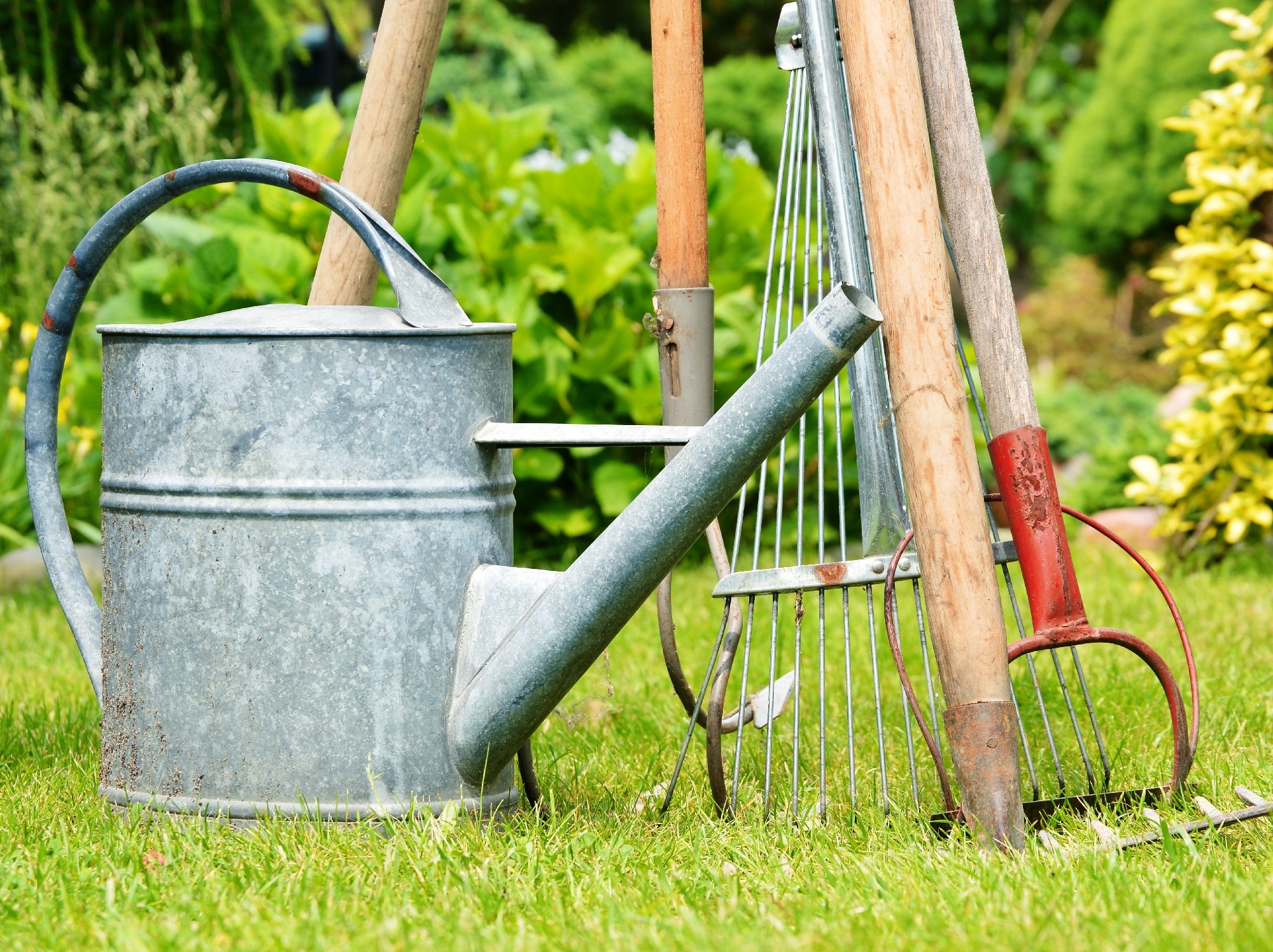 ČSN ISO 16075 – čištěné odpadní vody pro projekty závlah. Nově platnost ...