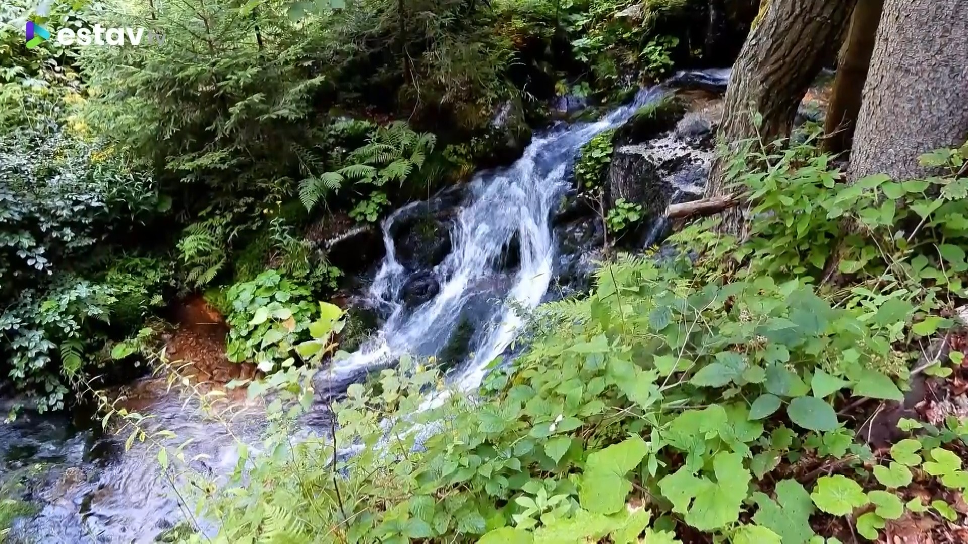 Zadržování vody v krajině, dostupnost pitné vody. Světový den vody s mottem Urychlení změny ...